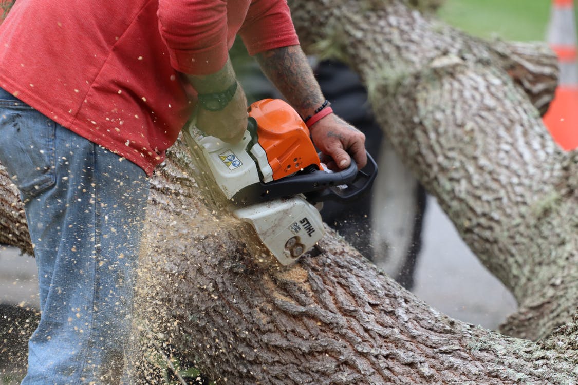 Tree Service Invoice: Your Complete Guide | RealGreen